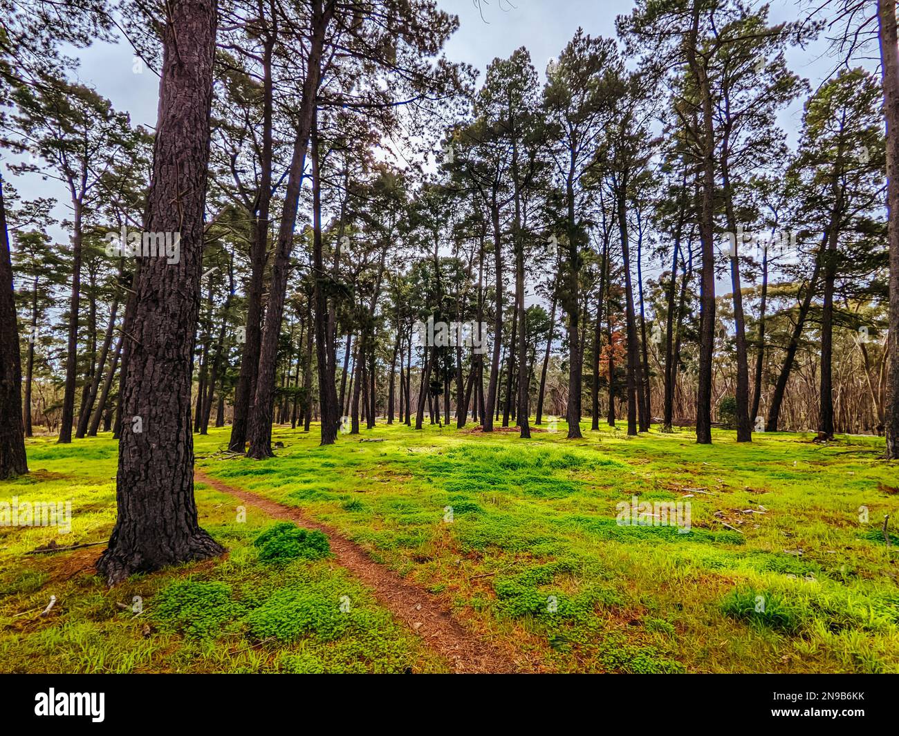 Castlemaine rock hi-res stock photography and images - Alamy