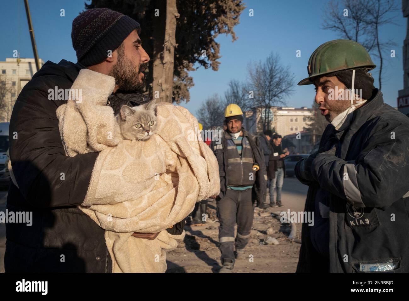 A cat was pulled from the rubble 102 hours after the earthquake. It has ...
