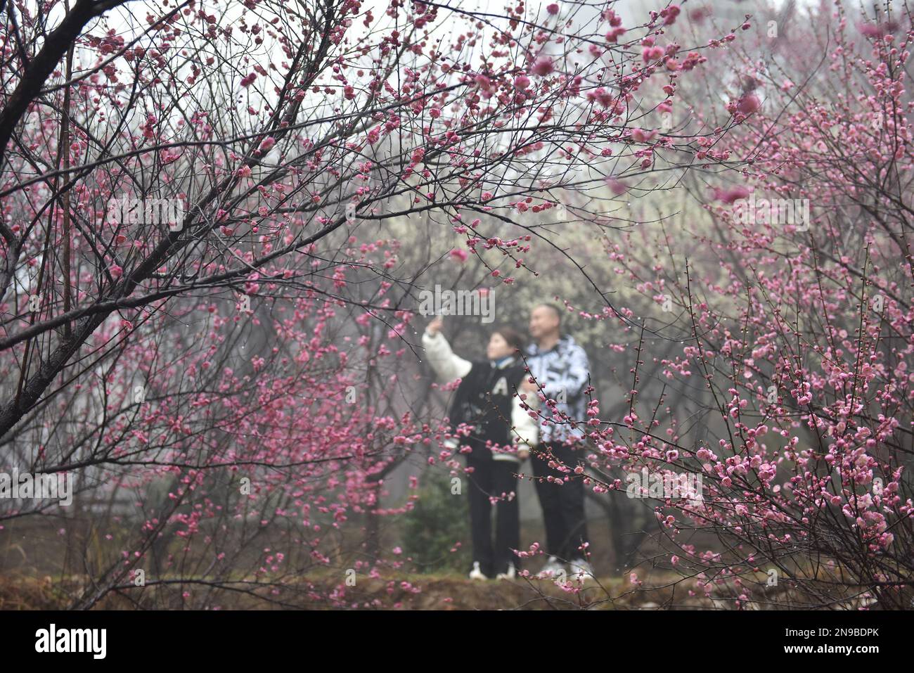 Hengyang, China's Hunan Province. 11th Feb, 2023. Tourists enjoy ...