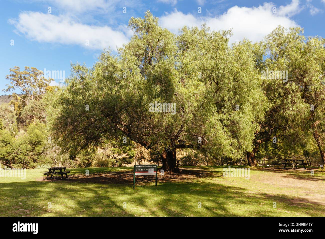 Lerderderg Gorge Circuit Walk in Melbourne Australia Stock Photo - Alamy