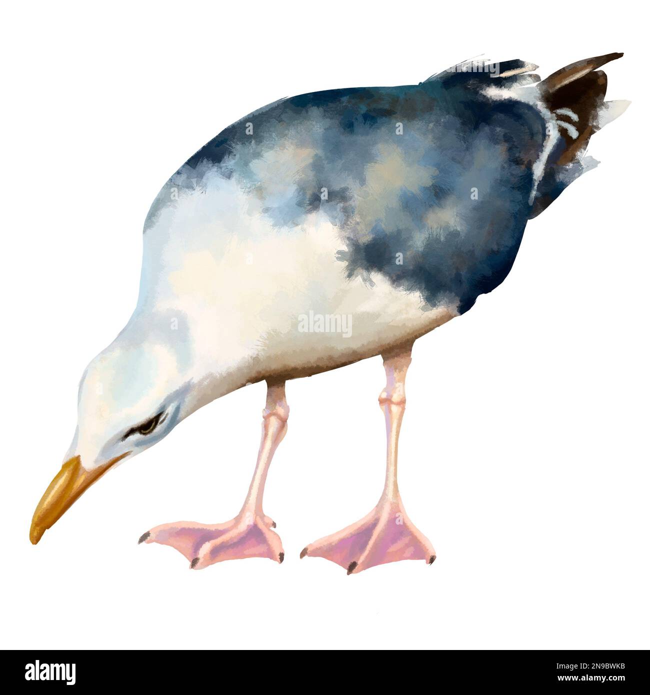 Drawing of a seagull, albatross, sea bird. High quality illustration ...