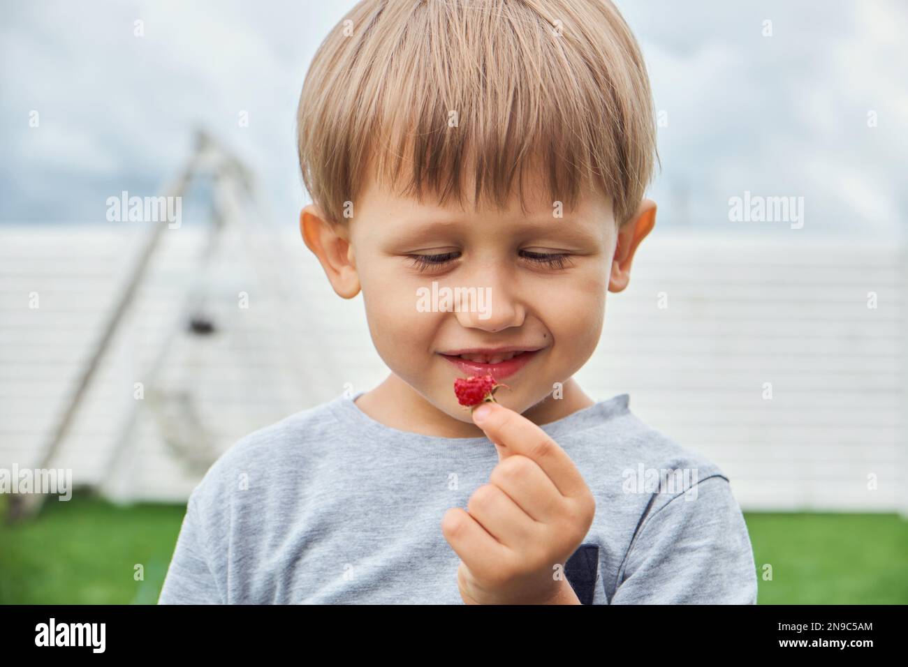 Child 4 years old holding and eating raspberries in backyard Stock ...