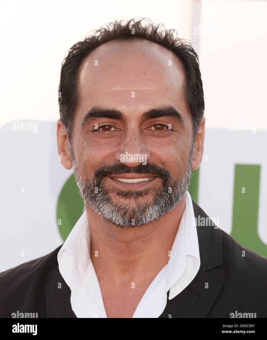 Navid Negahban attends the CBS, Showtime and The CW 2012 TCA summer ...