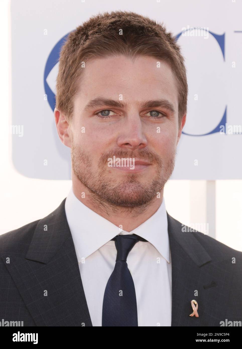 Stephen Amell attends the CBS, Showtime and The CW 2012 TCA summer tour ...
