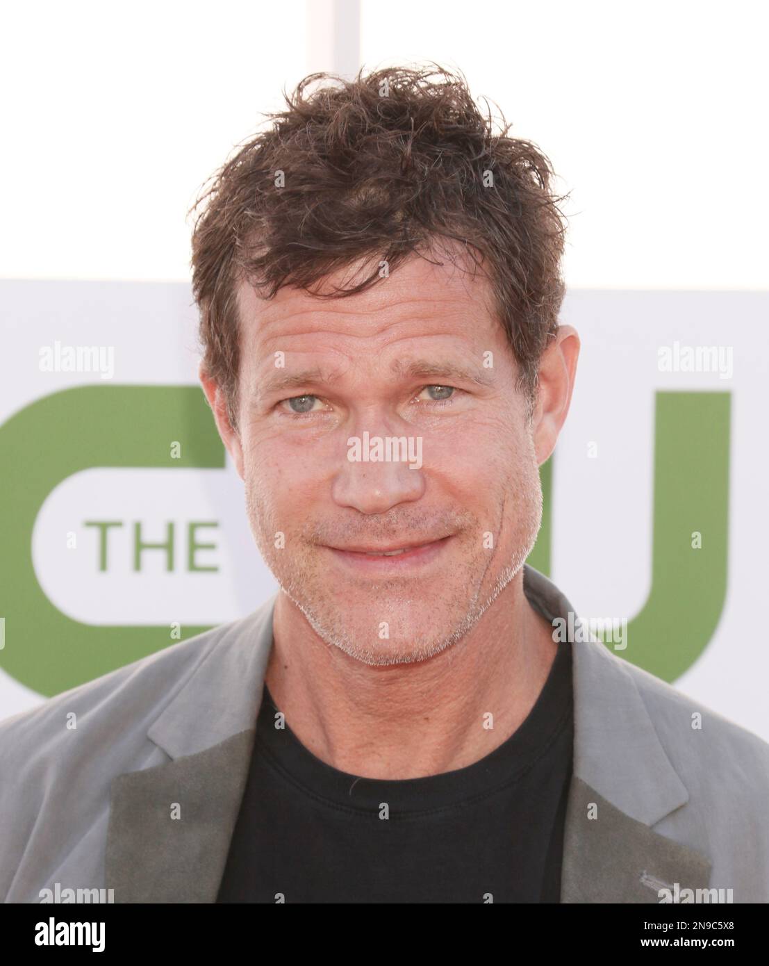 Dylan Walsh attends the CBS, Showtime and The CW 2012 TCA summer tour ...