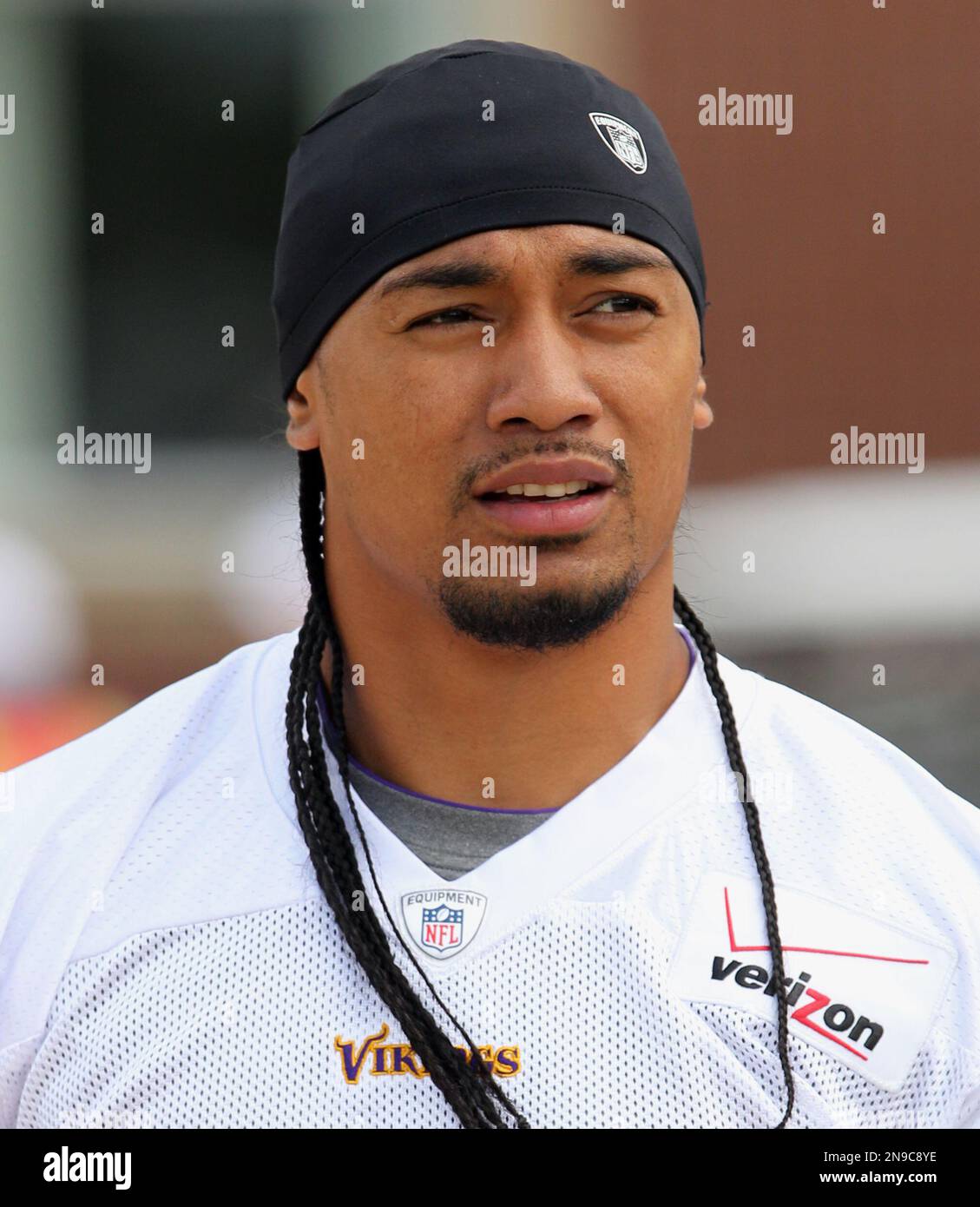 Minnesota Vikings full back Matt Asiata (48) shown during NFL football ...