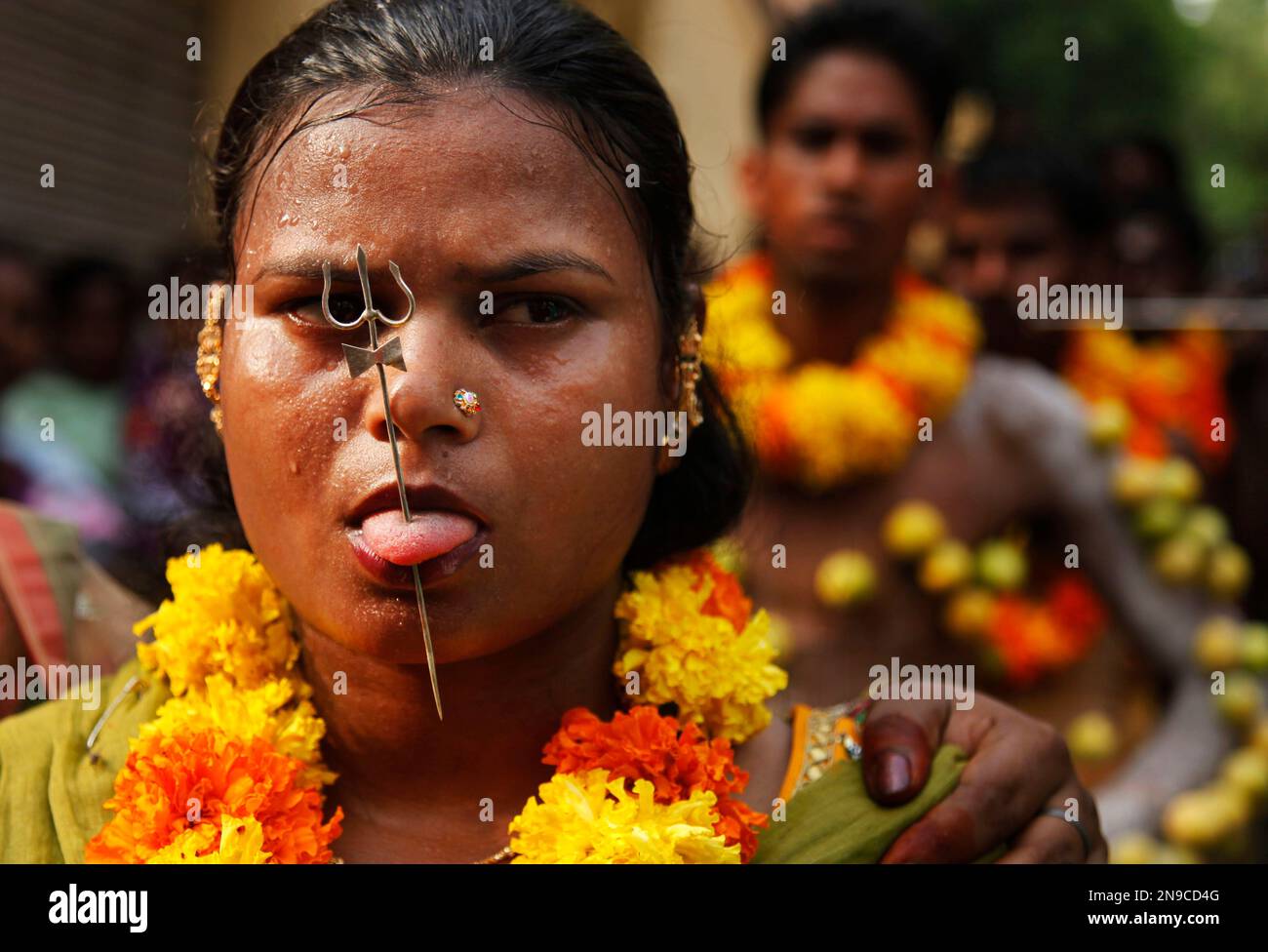 An Indian Hindu devotee has her tongue pierced with a trident as part ...