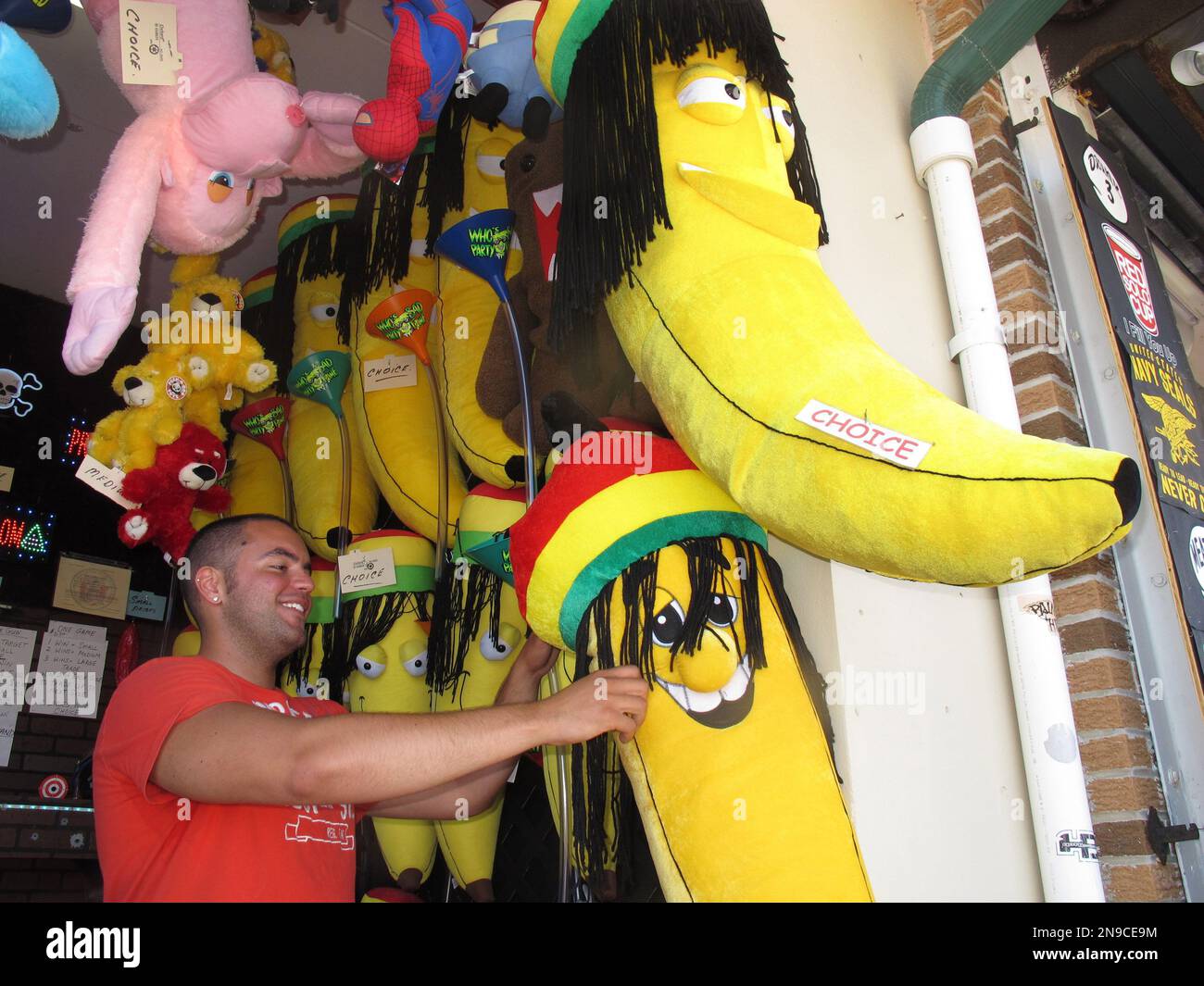 In this July 2, 2012 photo, Dante Silva hangs up a large rasta-banana ...