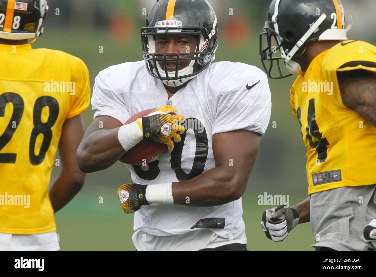 Pittsburgh Steelers running back Baron Batch (20) plays during NFL ...