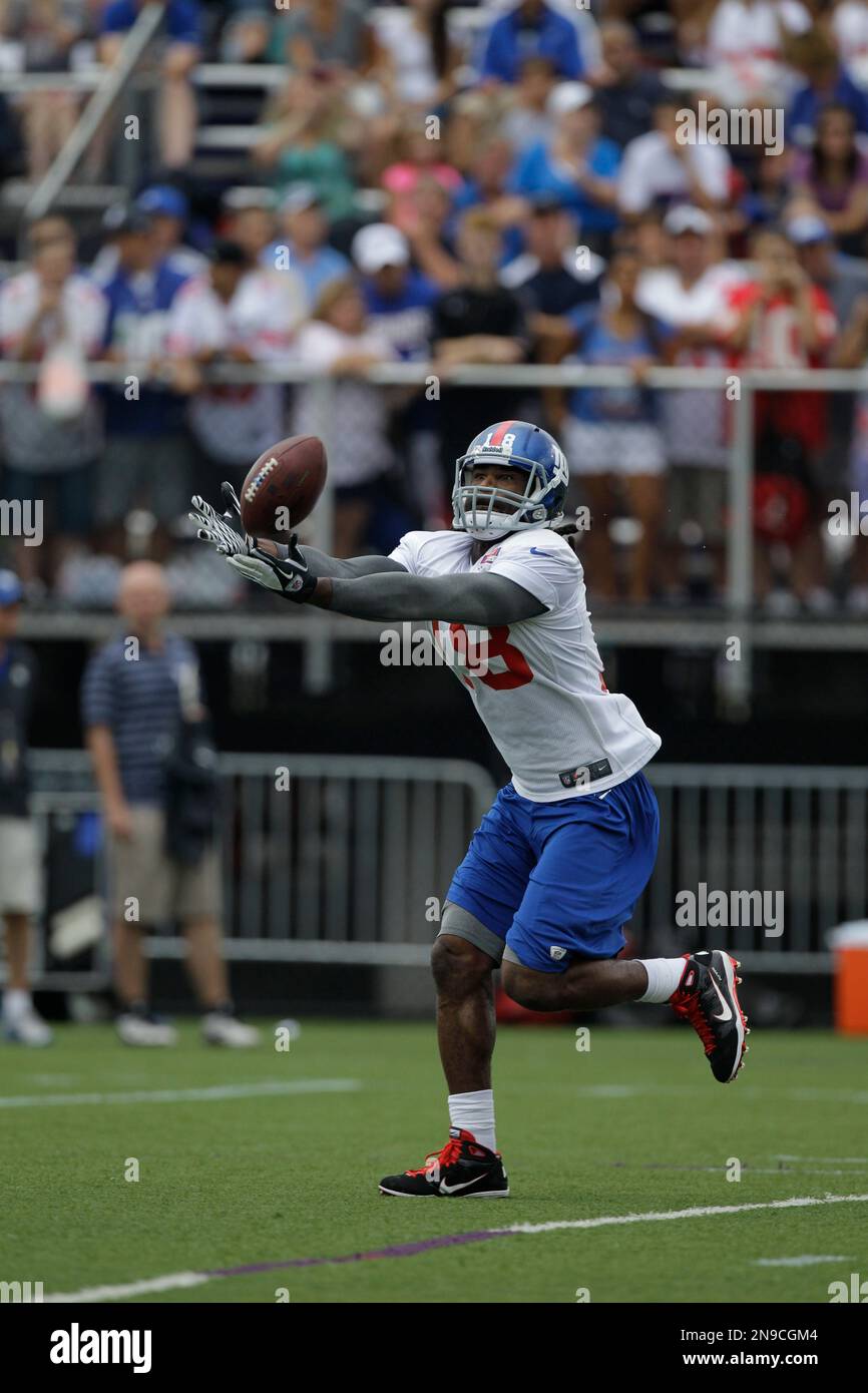 New York Giants wide receiver Isaiah Stanback (18) catches a pass at ...