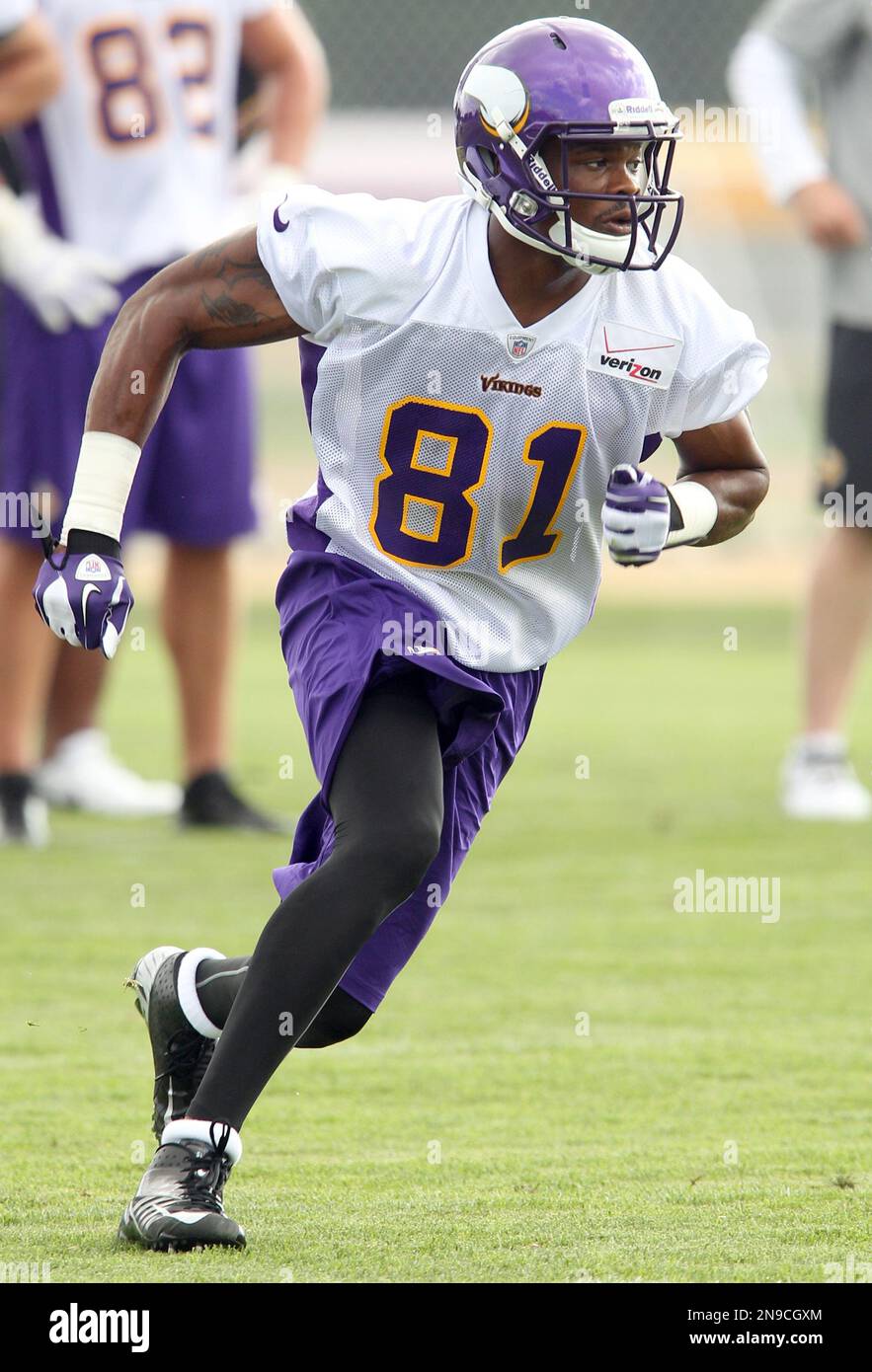 Minnesota Vikings wide receiver Jerome Simpson (81) shown during NFL ...