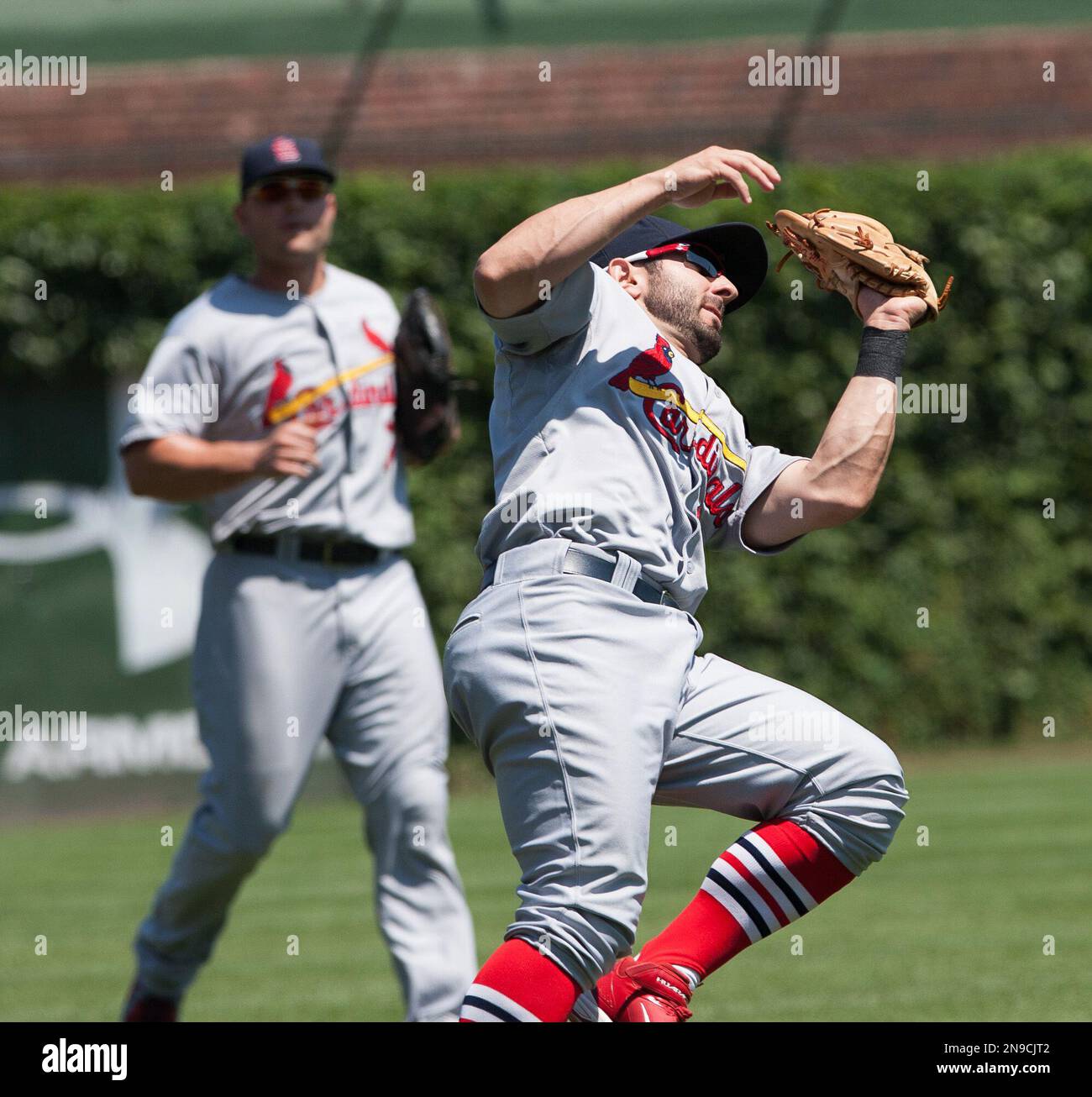 St Louis Cardinals shortstop Daniel Descalso catches pop fly off the ...