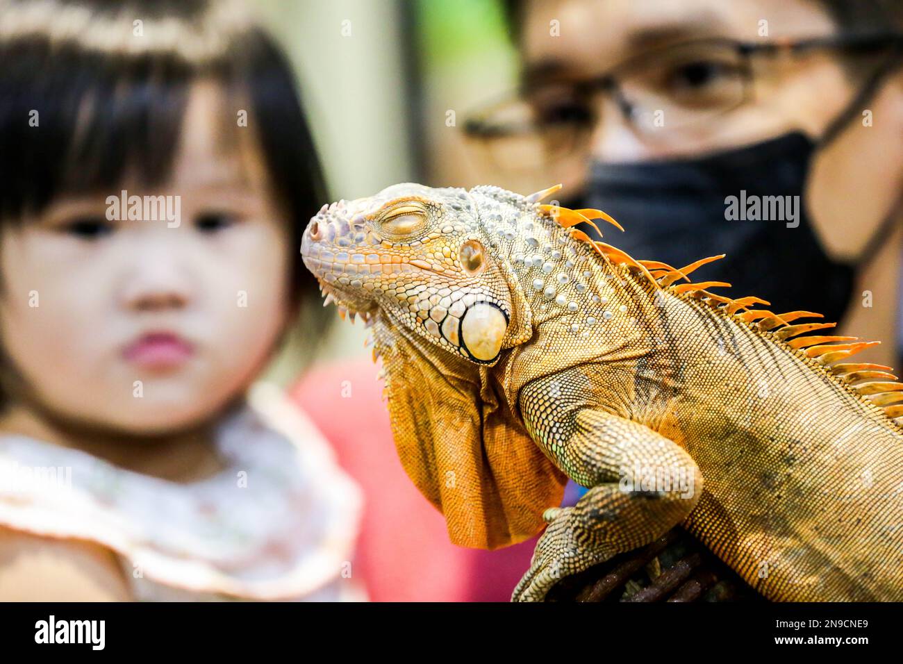 Pasay City, Philippines. 12th Feb, 2023. A man and his daughter look at ...