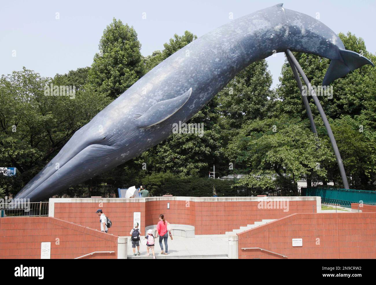 People walk about a life size model of Blue Whale displayed at National ...