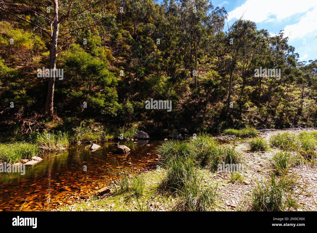 Lerderderg Gorge Circuit Walk in Melbourne Australia Stock Photo - Alamy