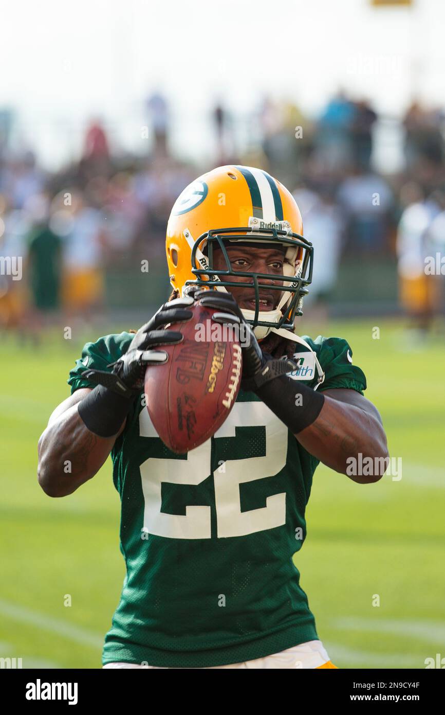 Green Bay Packers strong safety Jerron McMillian (22) during Green Bay ...