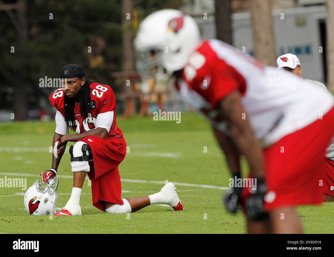 Arizona Cardinals' Greg Toler (28) watches the action during the first ...