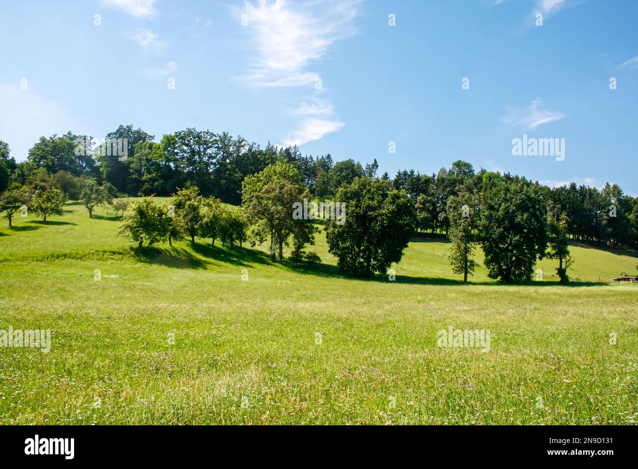 Scattered fruit meadow landscape hi-res stock photography and images ...
