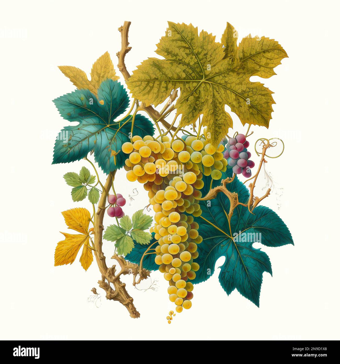 Victorian fruit illustration hi-res stock photography and images - Alamy