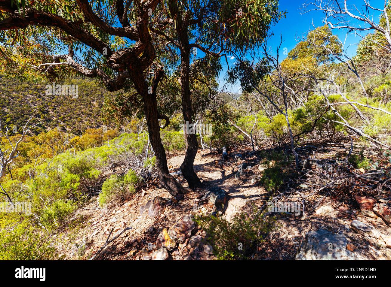 Lerderderg Gorge Circuit Walk in Melbourne Australia Stock Photo - Alamy