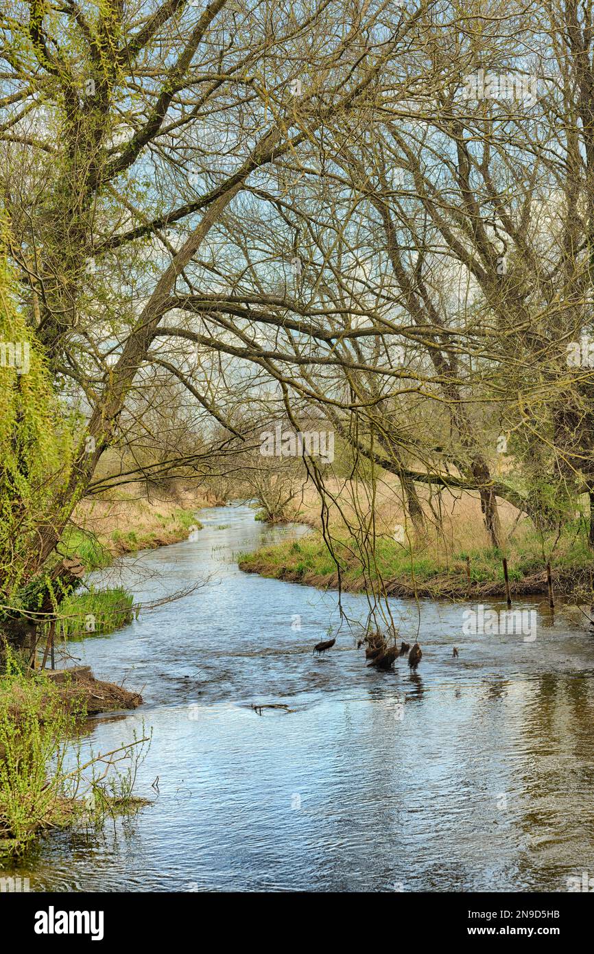 The River Wensum as seen from the pub at Sculthorpe Mill, North Norfolk ...