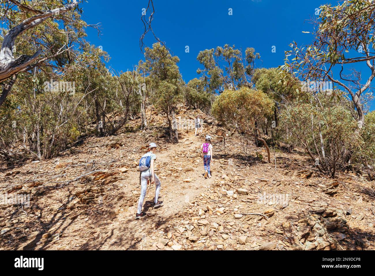 Lerderderg Gorge Circuit Walk in Melbourne Australia Stock Photo - Alamy