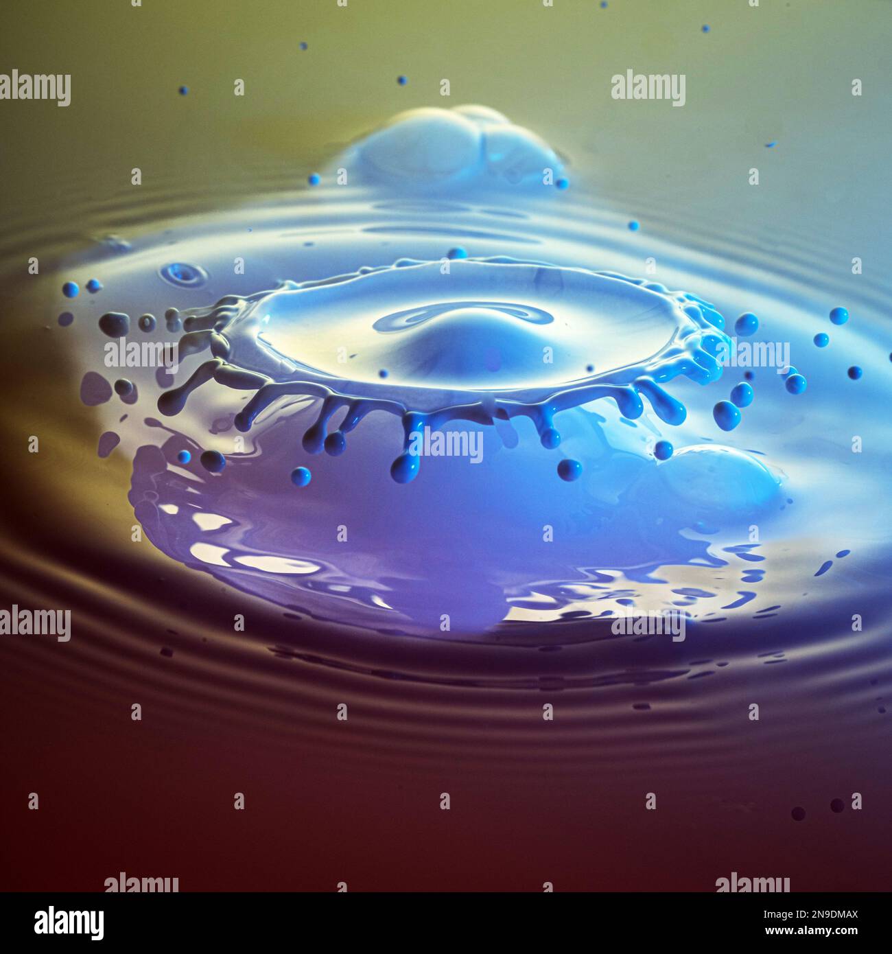 Macro photography water drops photographed with Pluto trigger Stock ...
