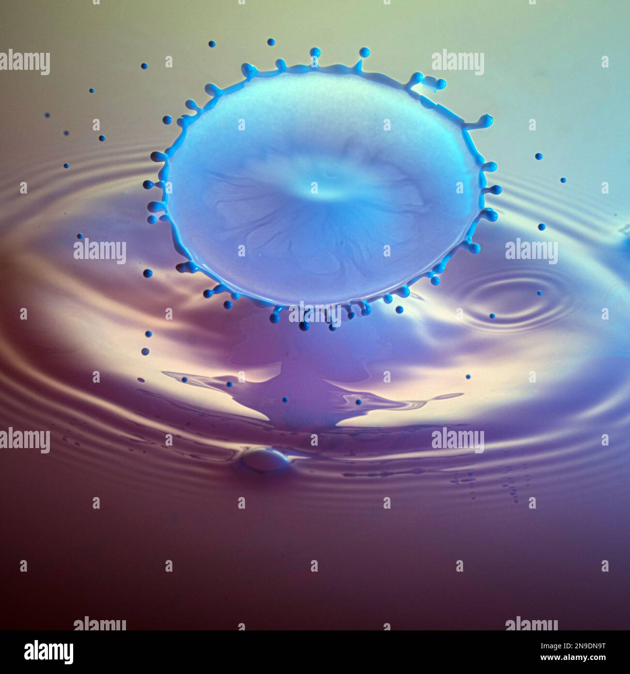 Macro photography water drops photographed with Pluto trigger Stock ...