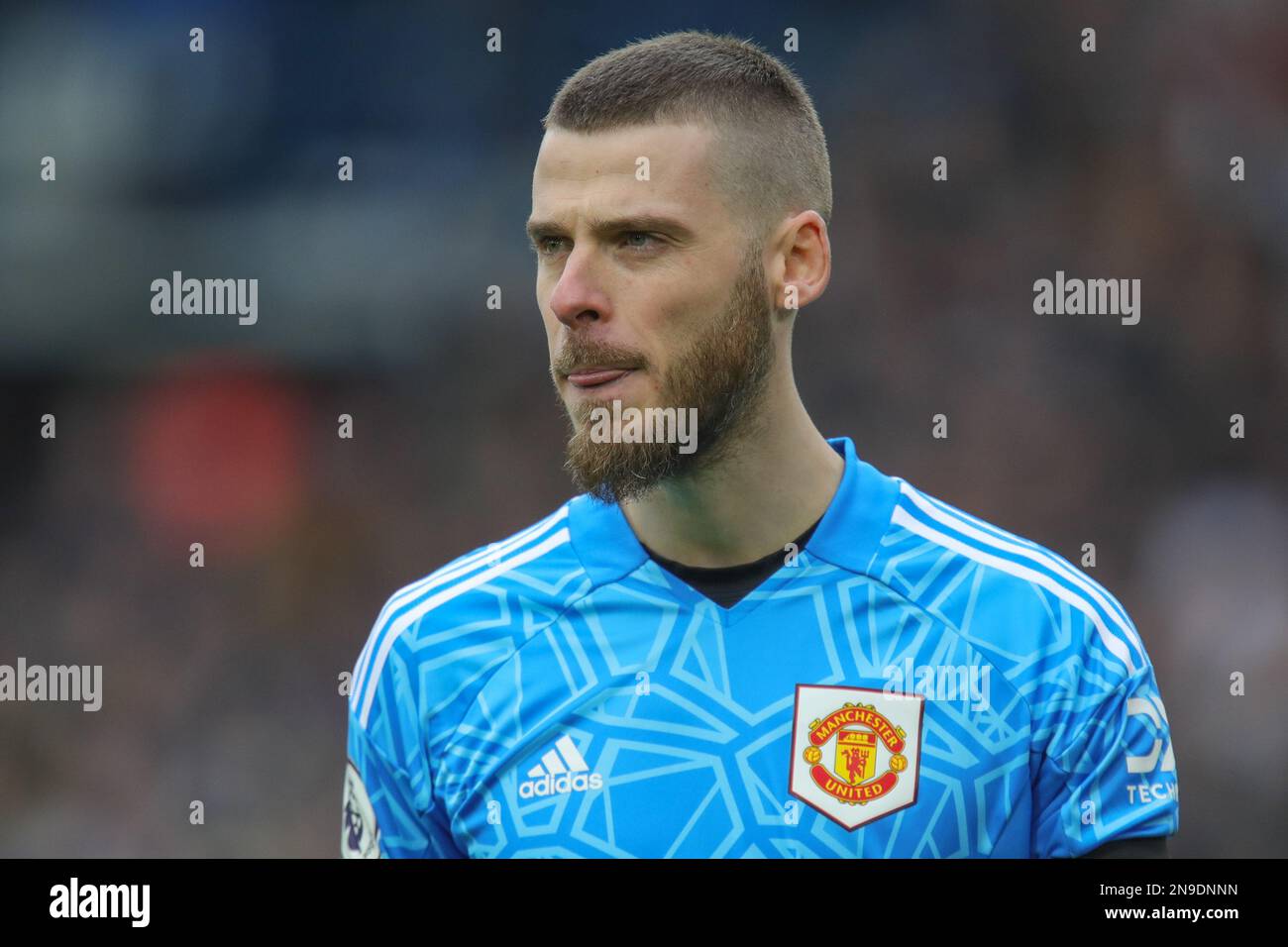 David de gea manchester united 2023 hi-res stock photography and images ...