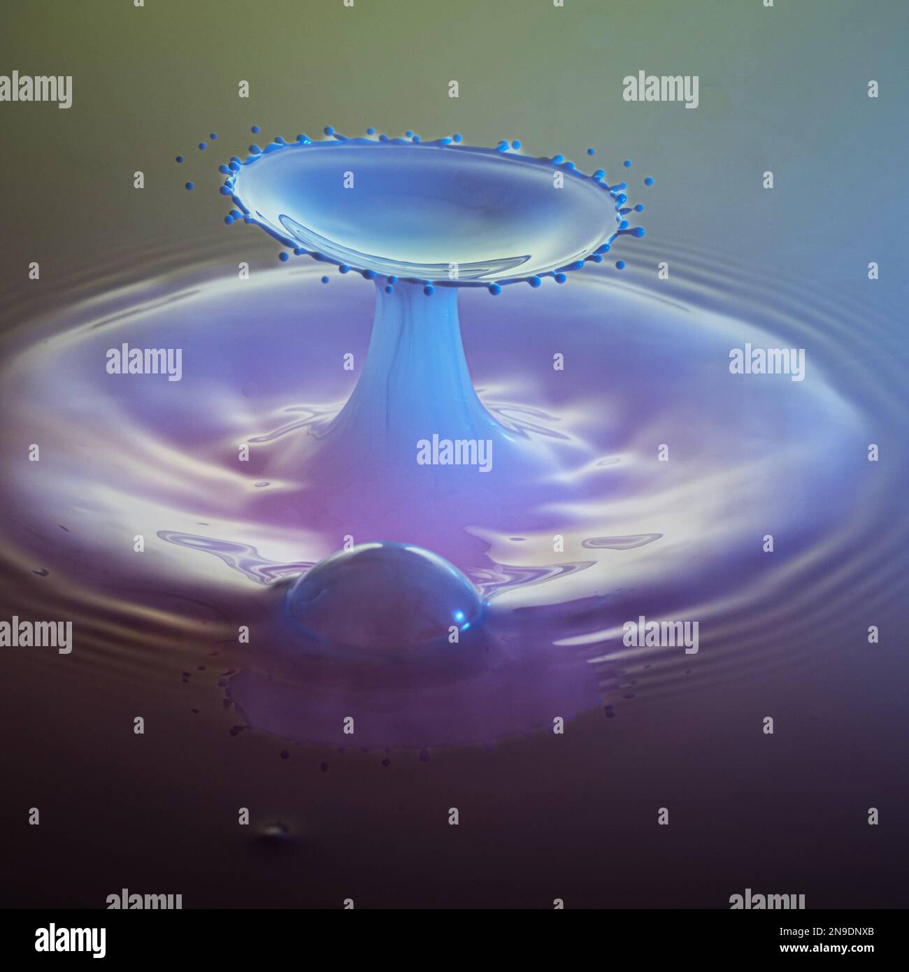 Macro photography water drops photographed with Pluto trigger Stock Photo - Alamy