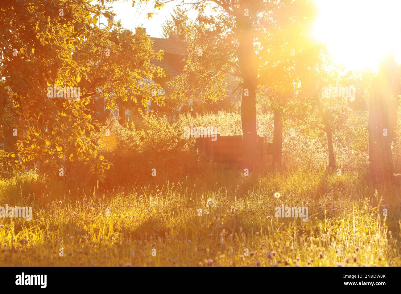 Ecological practices hi-res stock photography and images - Alamy