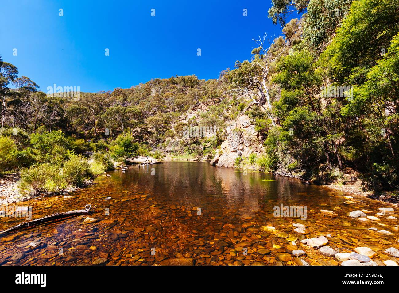 Lerderderg Gorge Circuit Walk in Melbourne Australia Stock Photo - Alamy