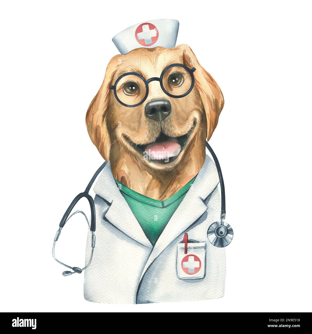 Portrait of a golden retriever dog in a doctor's costume. Watercolor ...