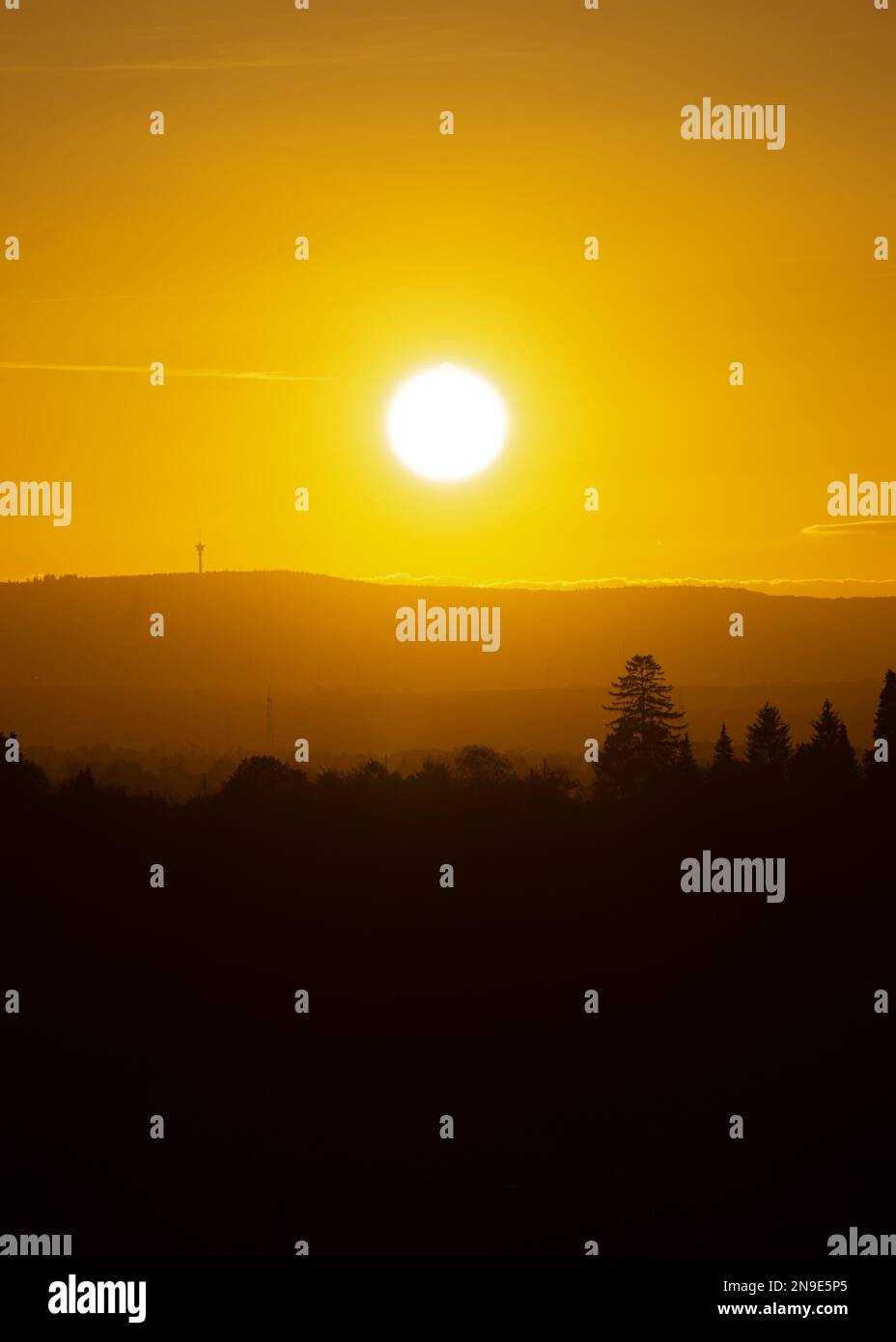 A vertical shot of the rising sun in the golden sky and the silhouettes ...