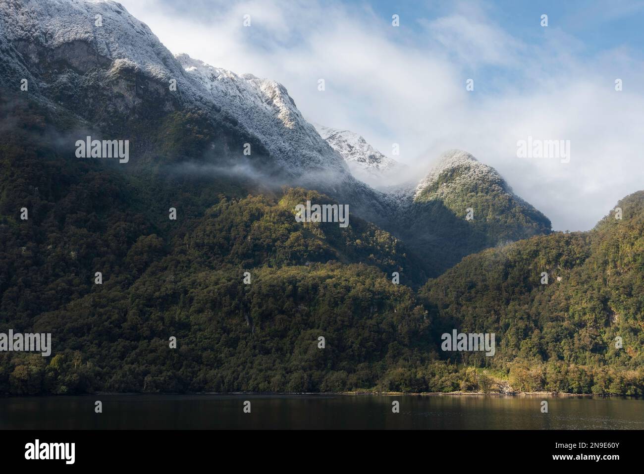 The diverse shores in the Doubtful Sound with spotlights of light ...