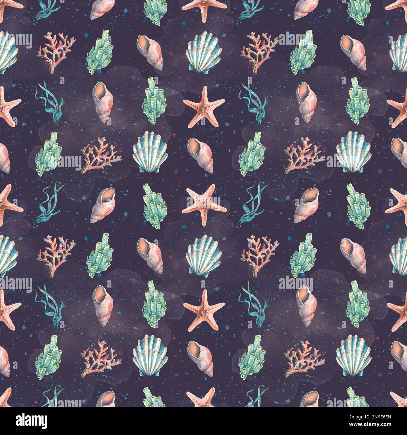 Seashells, algae, corals and sea sponges on the background of ...