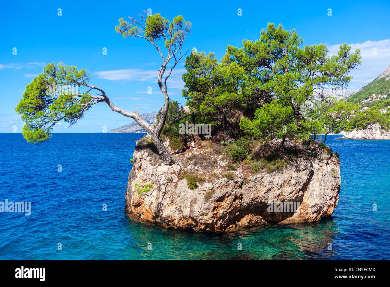 Brela Croatia Punta Rata . Tree growing on the little island Stock ...