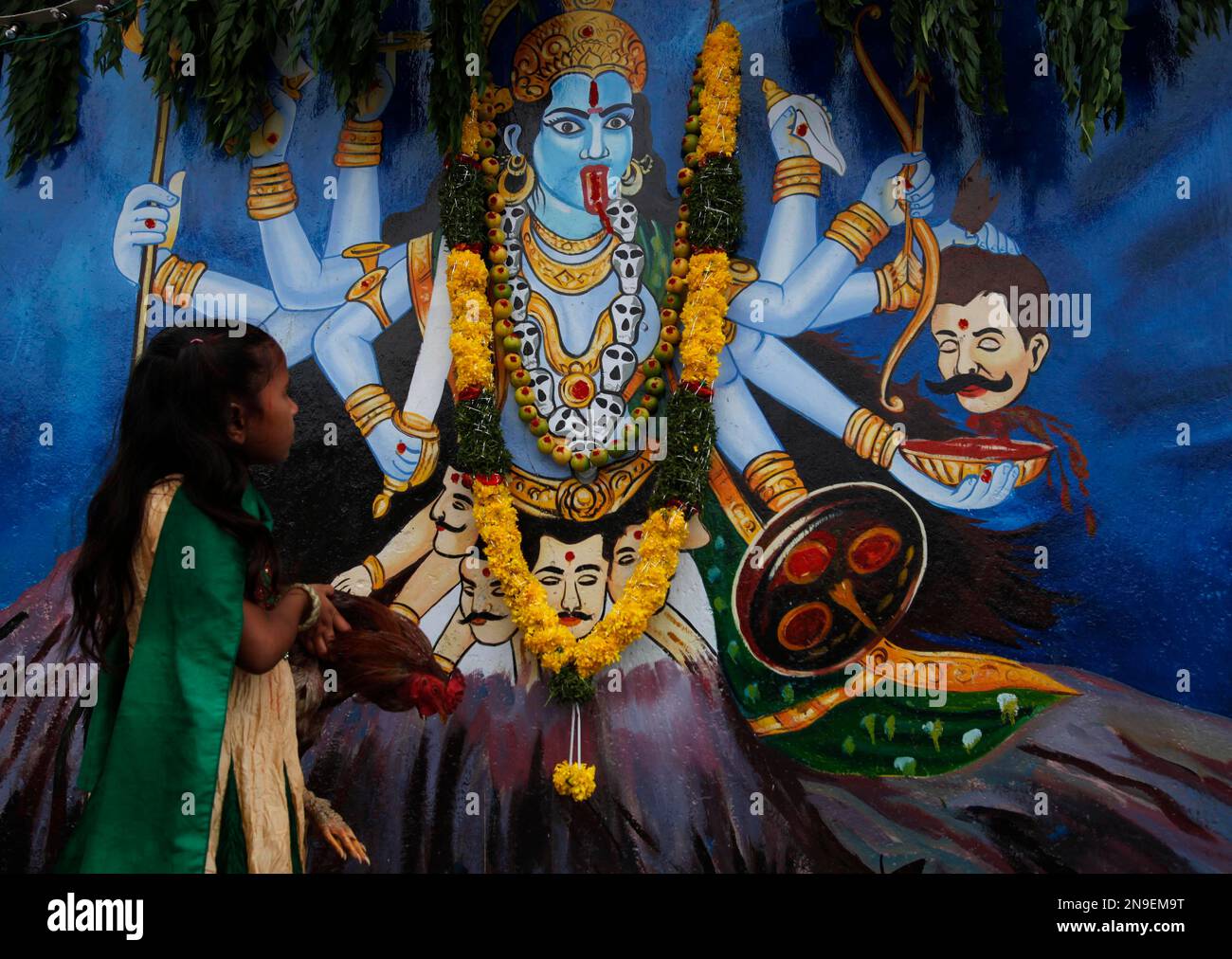 A young Indian devotee carries a rooster for sacrifice as an offering ...