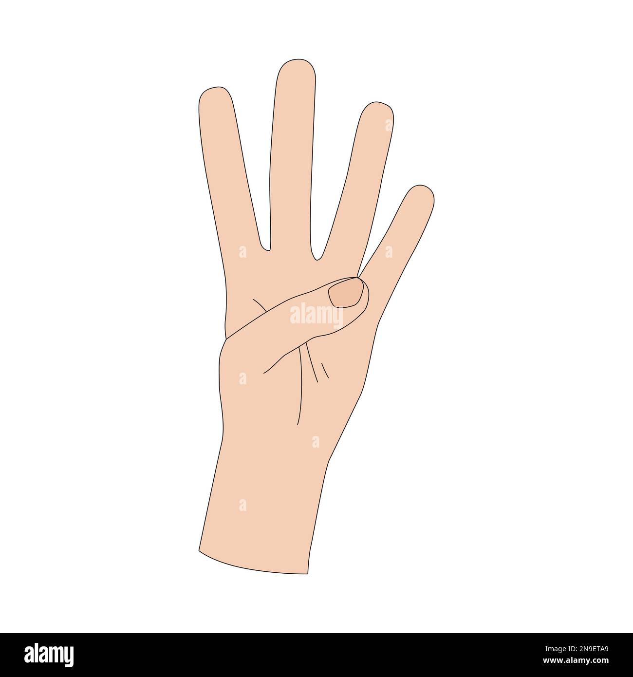 A hand gesture. The number four. Sign language. Vector illustration ...