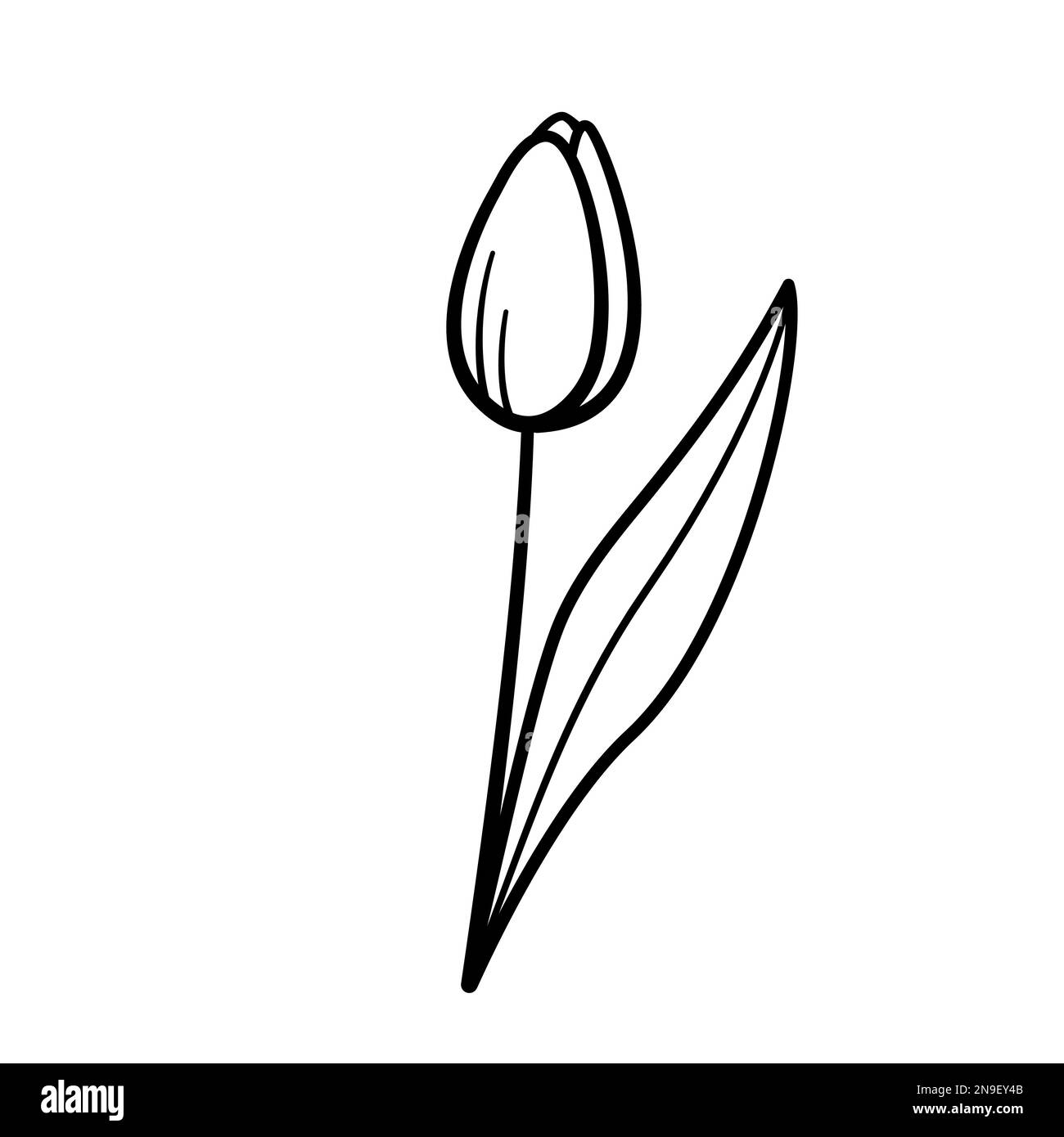 Hand drawn icon of tulip. Sketch doodle style. Isolated vector ...
