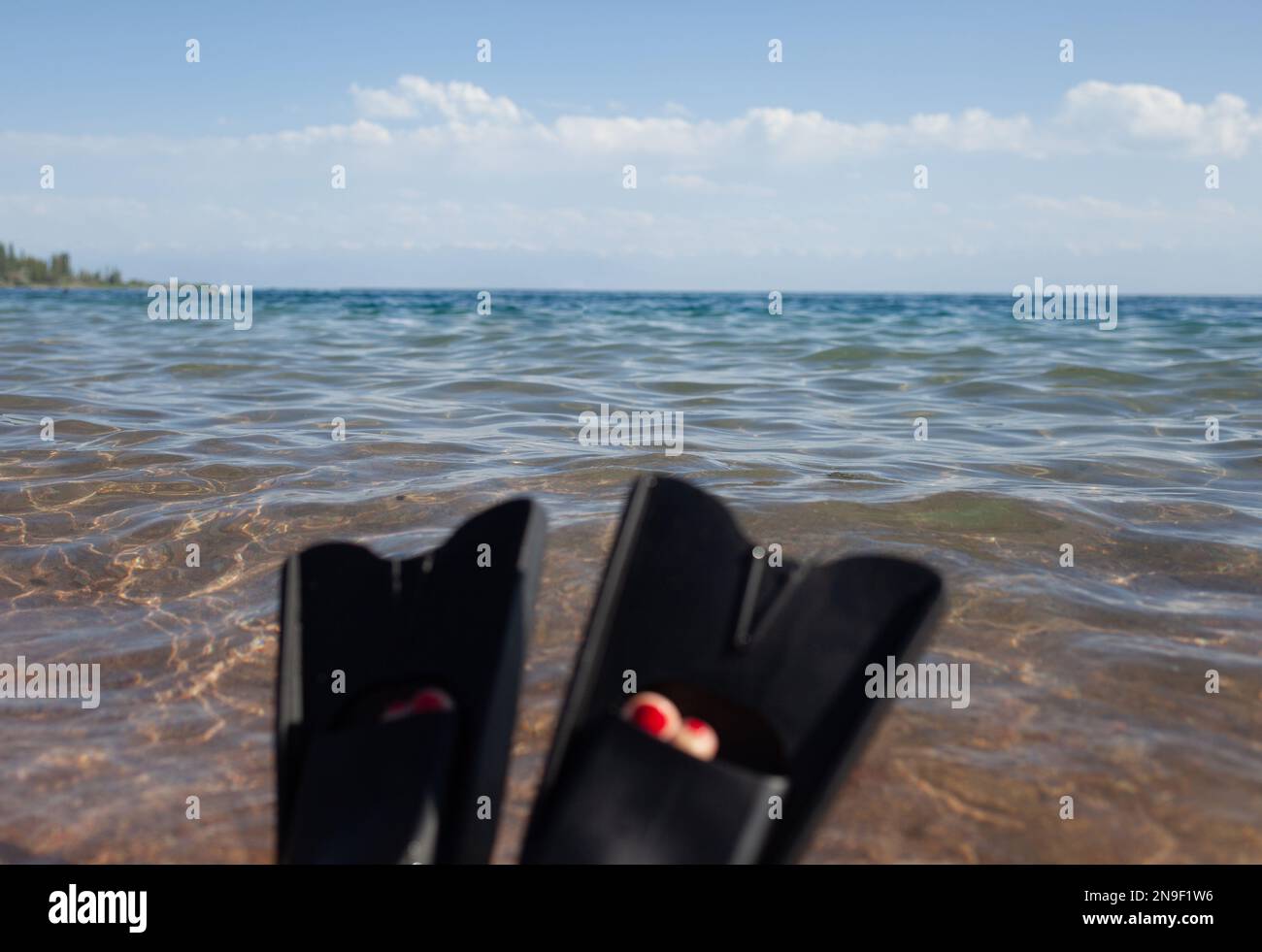 A woman in black flippers splashes near the shore. Fins stick out of ...