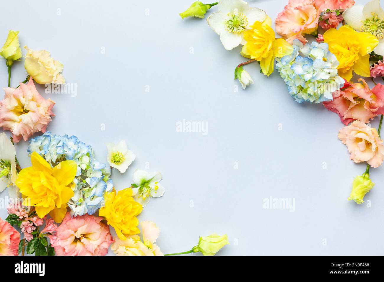 Spring easter floral border hi-res stock photography and images - Alamy