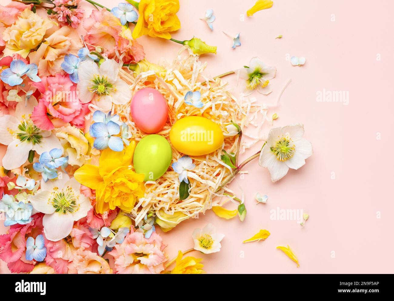 Easter composition with Spring Flowers and Easter eggs in nest on pastel pink background. Top ...