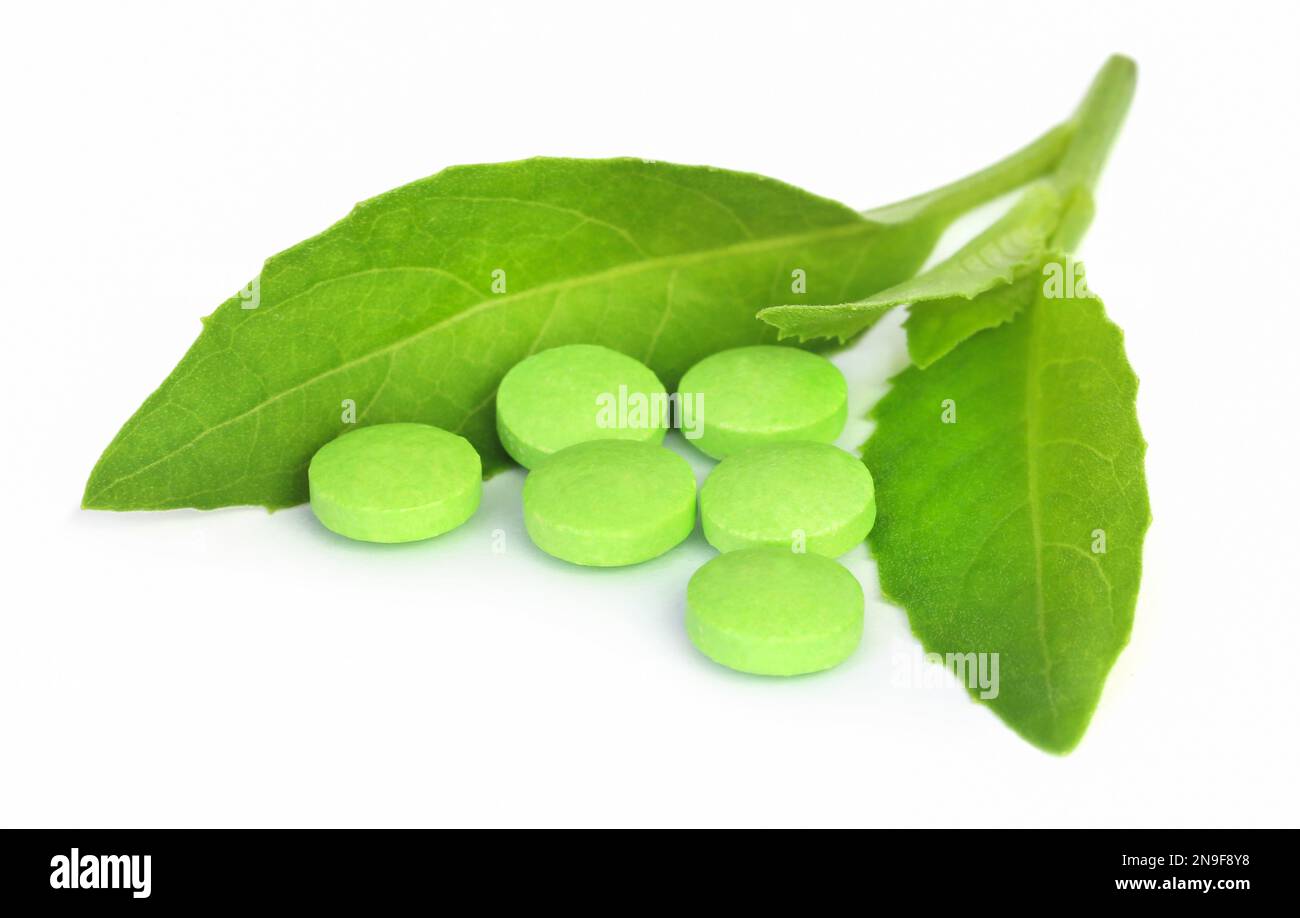 Adhatoda vasica or medicinal Basak leaves with tablets over white ...