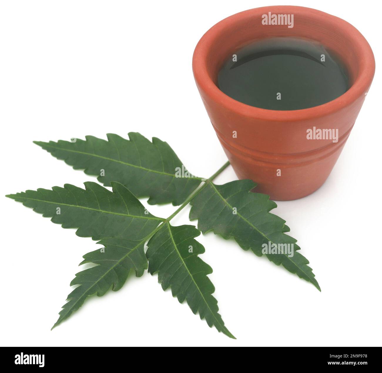 Medicinal neem leaves with extract over white background Stock Photo ...