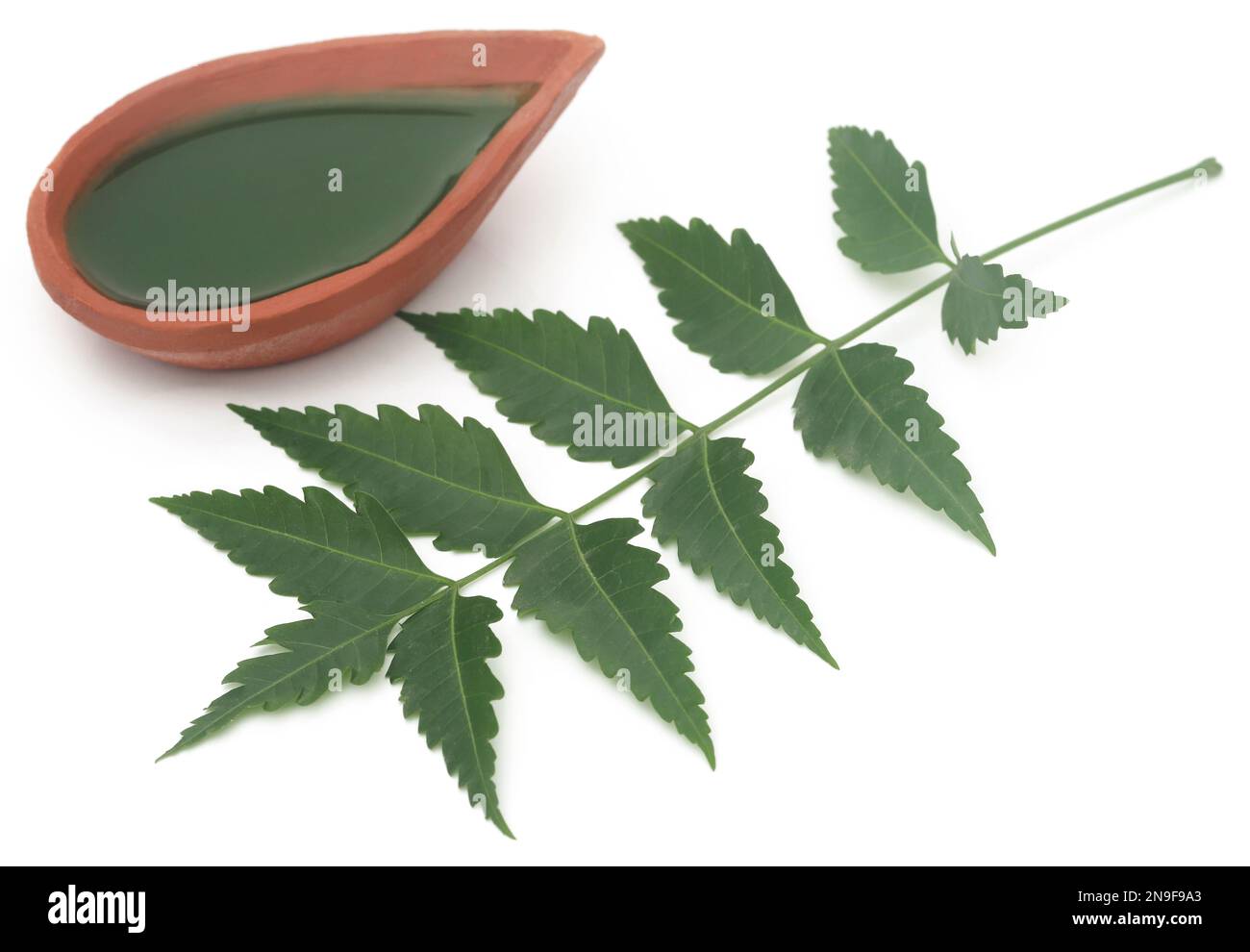Medicinal neem leaves with extract over white background Stock Photo ...