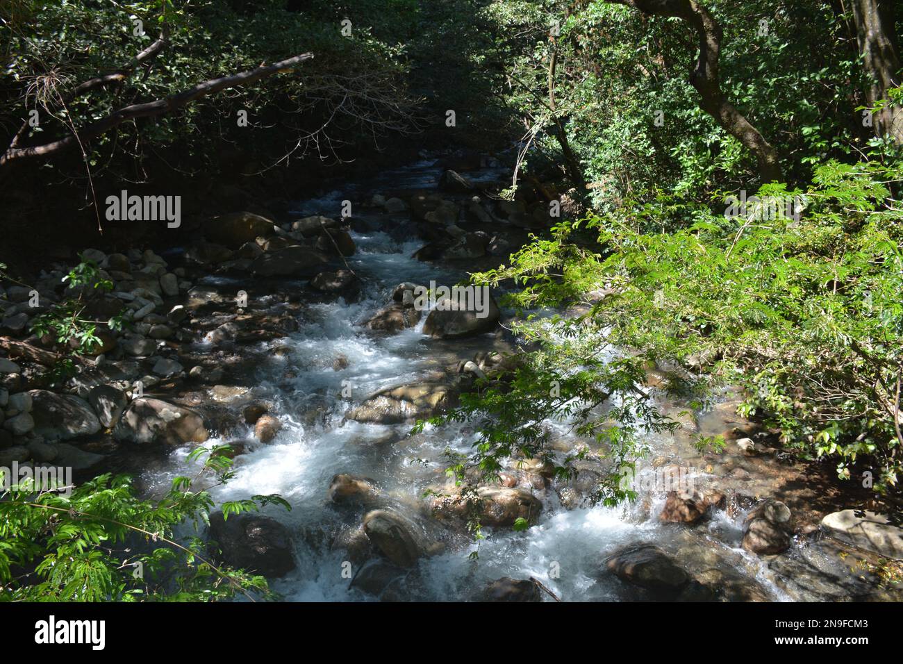 Mountain stream in Ricon National rainforest in Guanacaste, Costa Rica ...