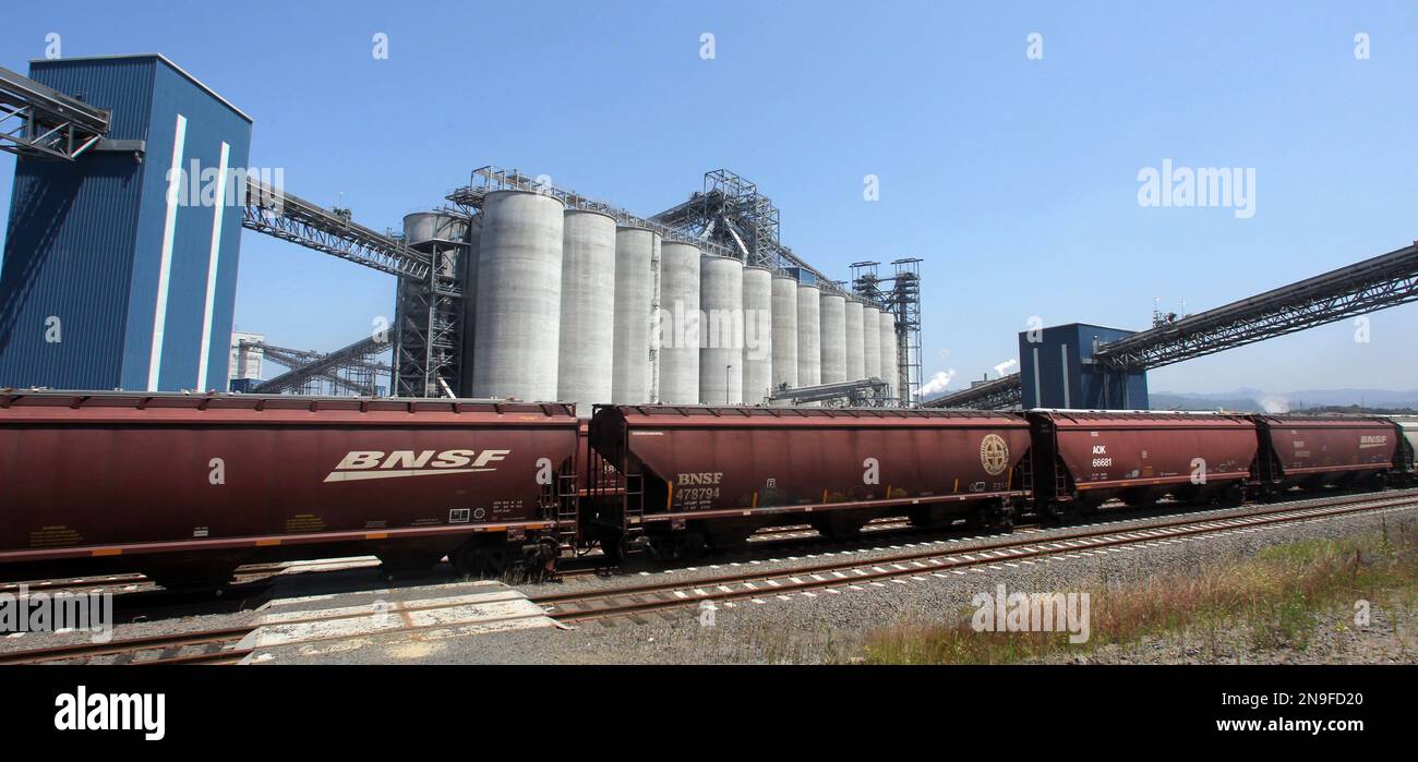 Grain hopper railroad cars sit on the tracks in front grain silos at ...