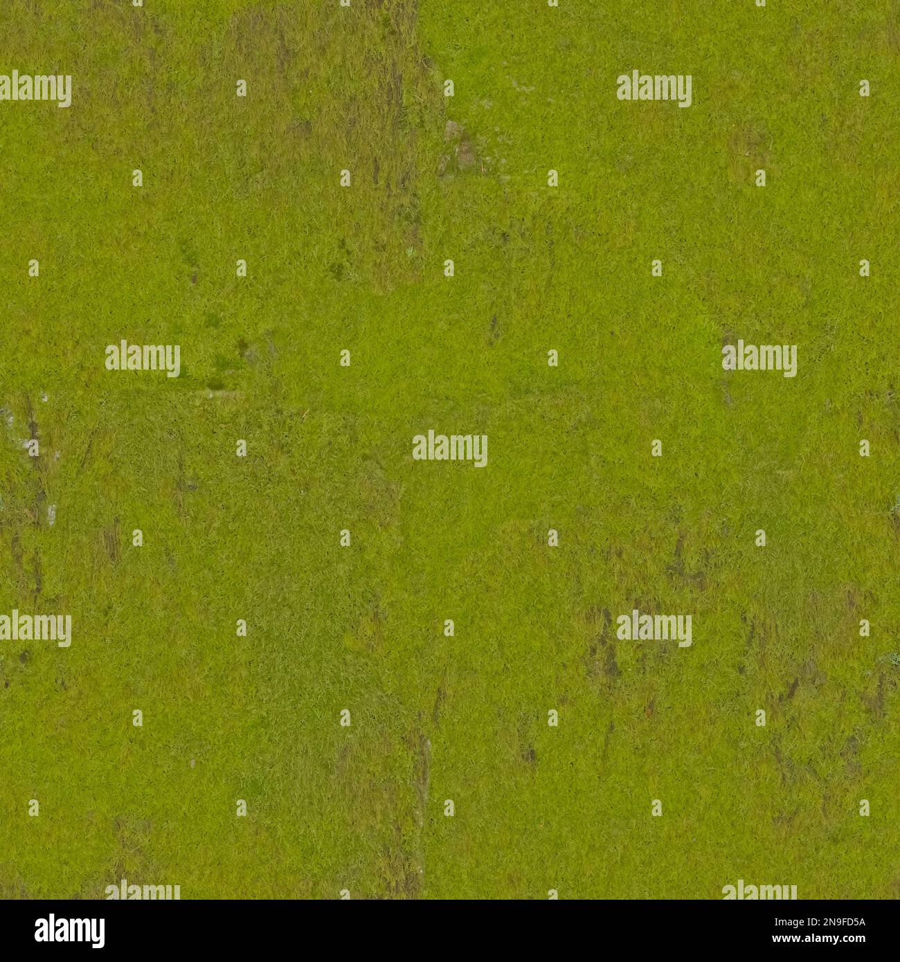 Texture ground moss, seamless texture ground moss Stock Photo - Alamy