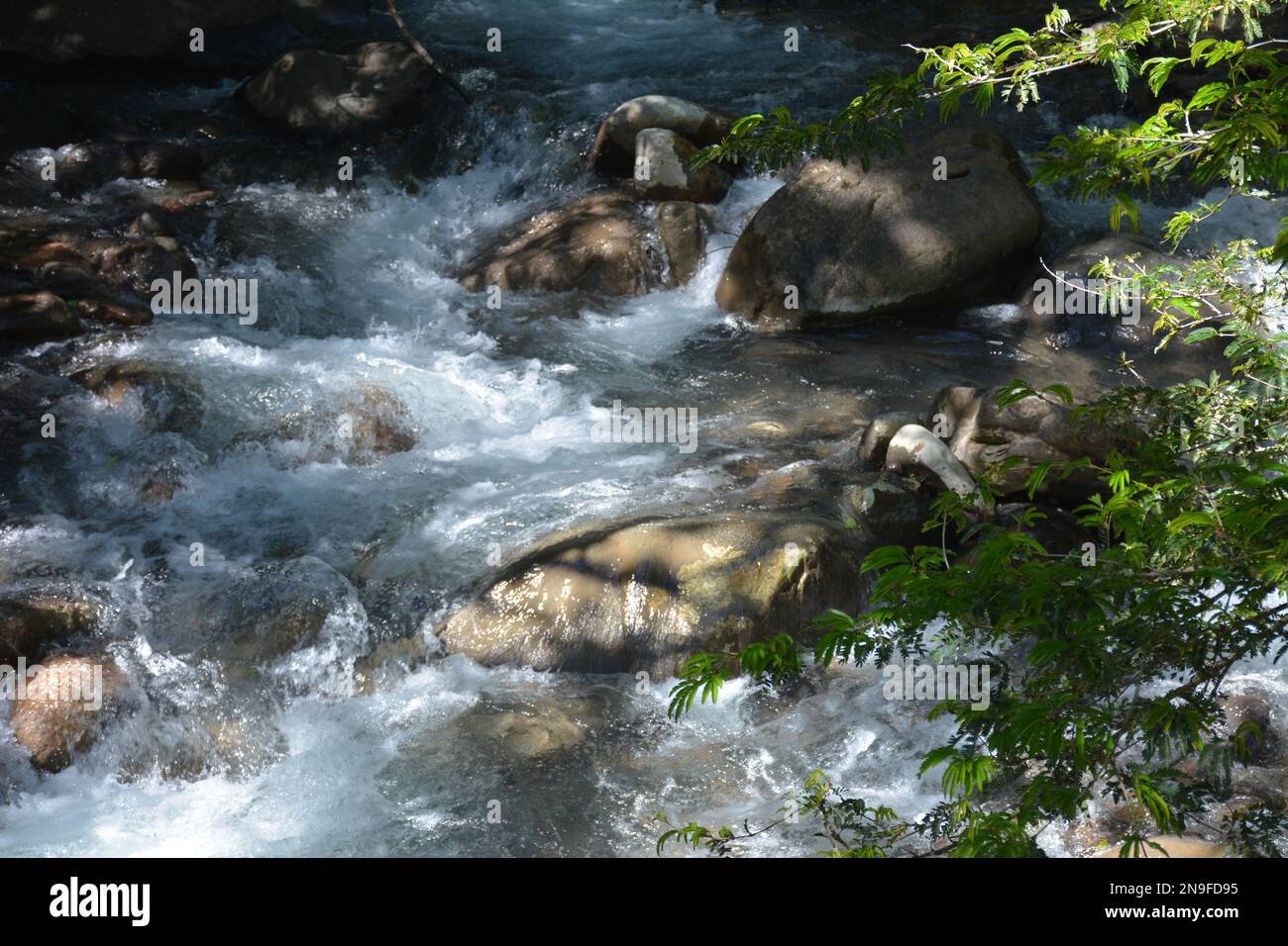 Mountain stream in Ricon National rainforest in Guanacaste, Costa Rica ...